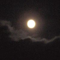 RLC Prop Textures by Kera_ghoul | Photobucket