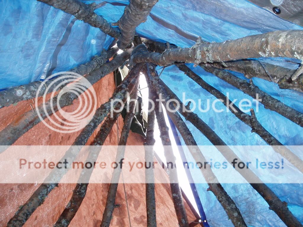 Tarp Tipi - PaleoPlanet